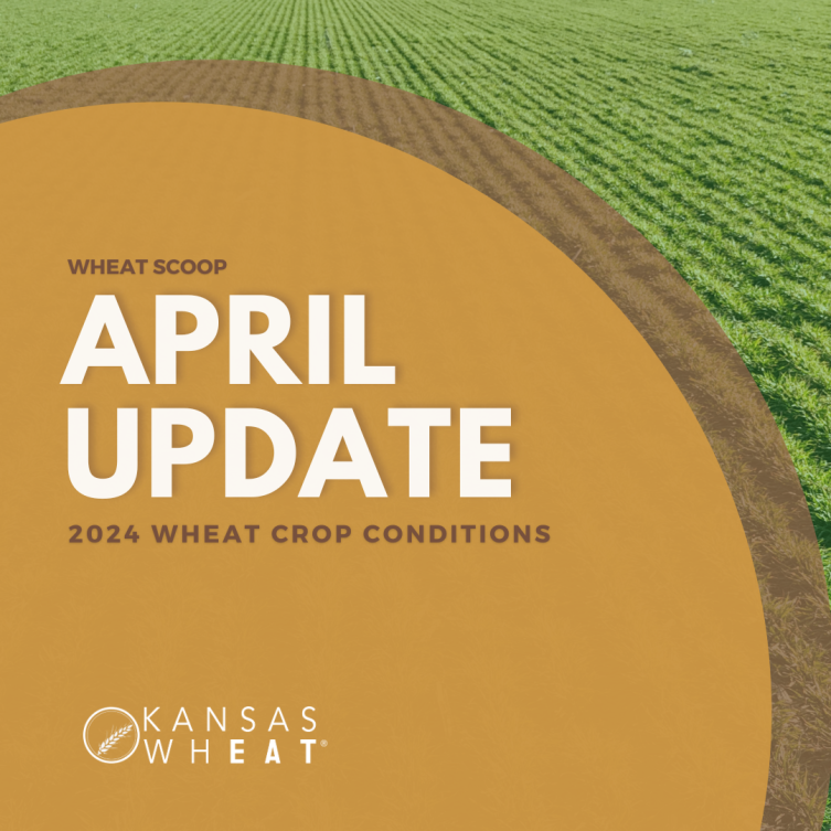 2024 Wheat Crop Conditions - April Update | Kansas Wheat | Leaders in the adoption of profitable ...